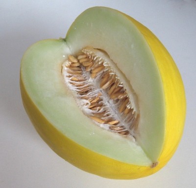 Melon Amarillo Canario ( 260 semillas ) seeds - Melón oro | eBay