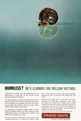 1962 Parke-Davis: Harmless Vintage Print Ad | eBay