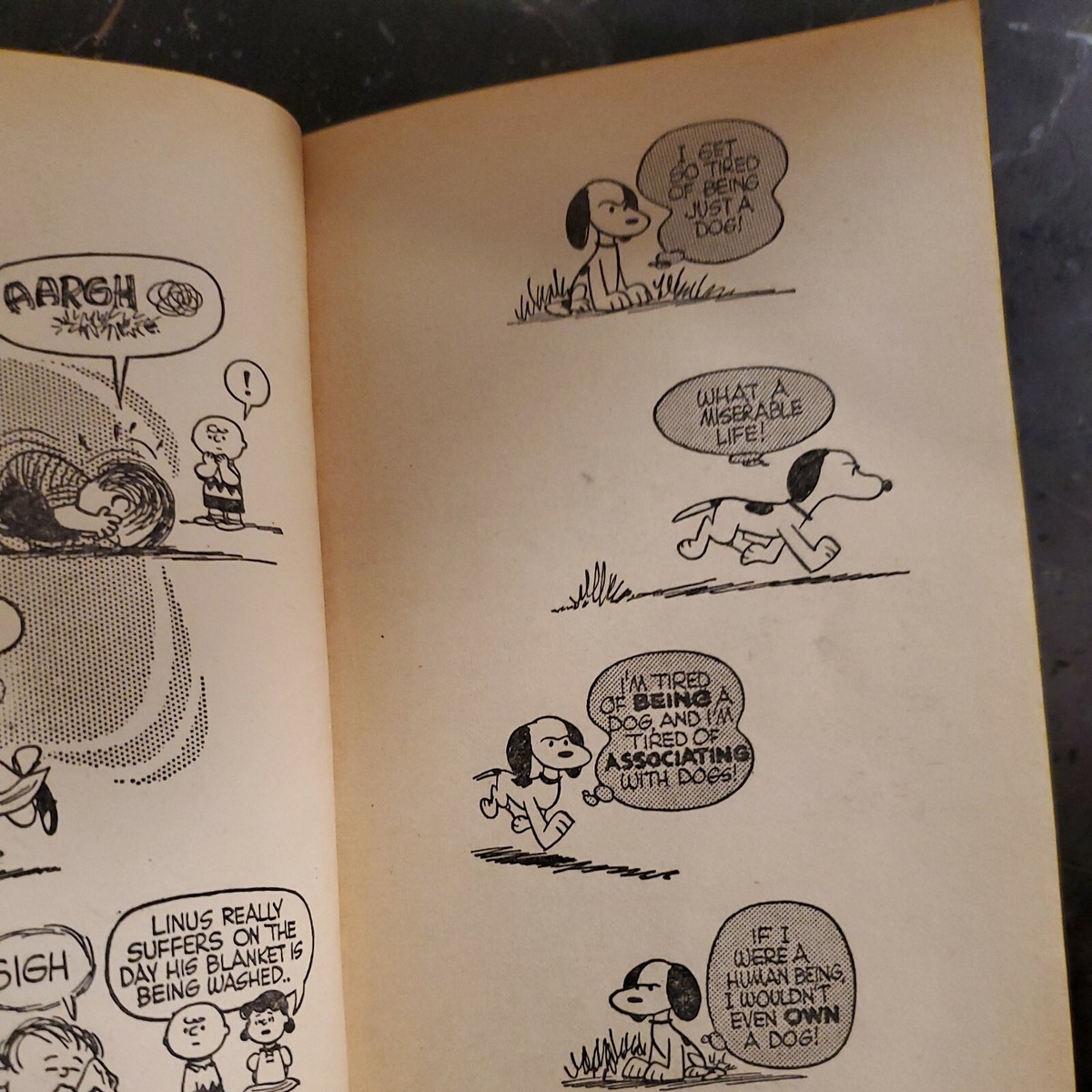 Peanuts Characters Aargh