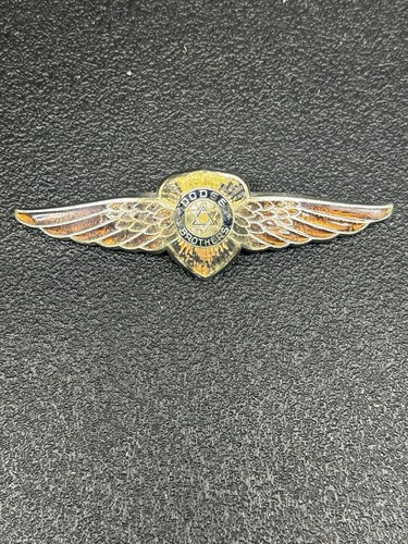 Antique Dodge Brothers Winged Radiator Badge | eBay