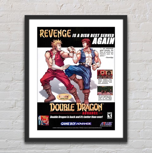 Double Dragon Advance Nintendo GBA Glossy Poster Print 18" x 24" G0242 ...