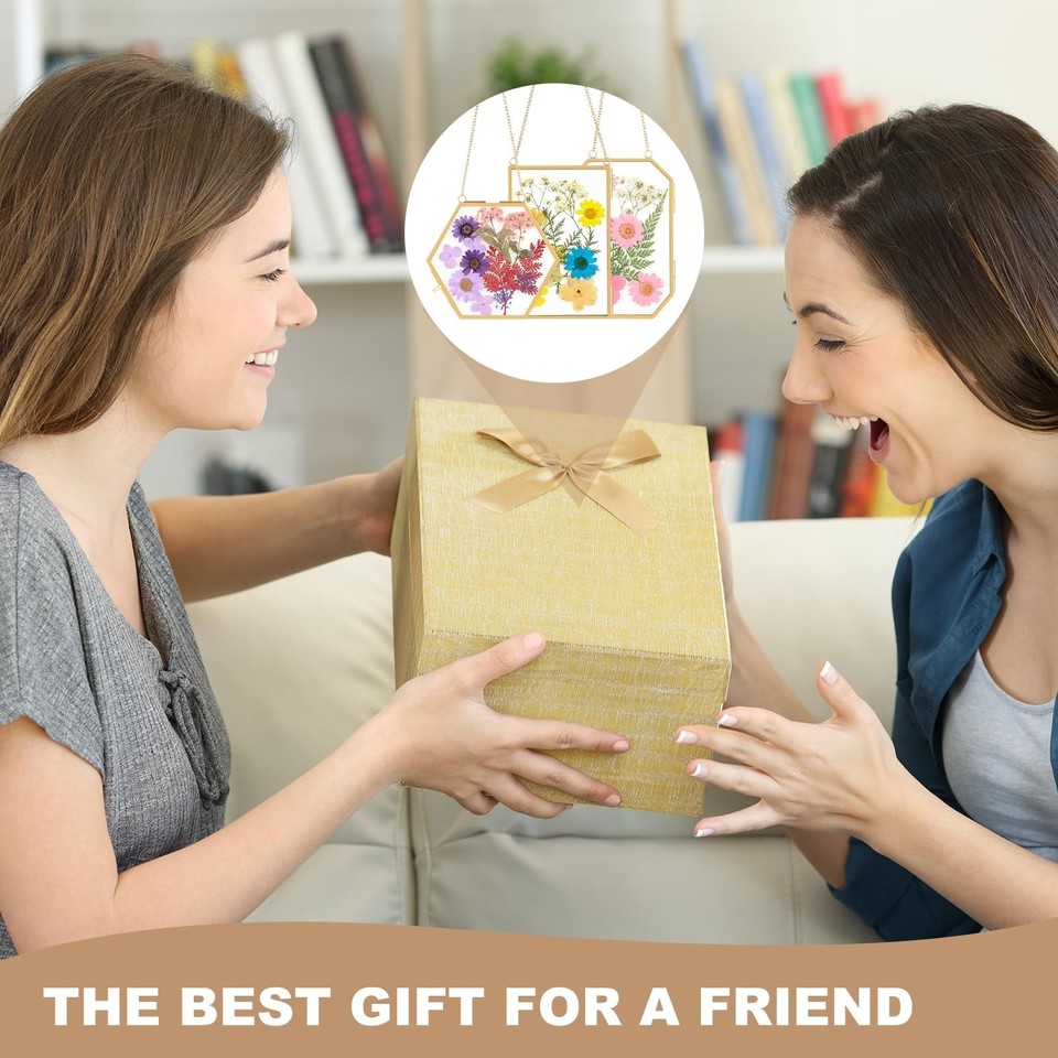 Lujechii 3 Pcs Double Glass for Pressed Flowers,Clear Brass Embossed ...