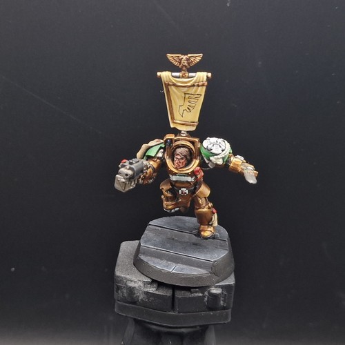Pro Painted Warhammer 40k dark angels terminator captain games workshop ...