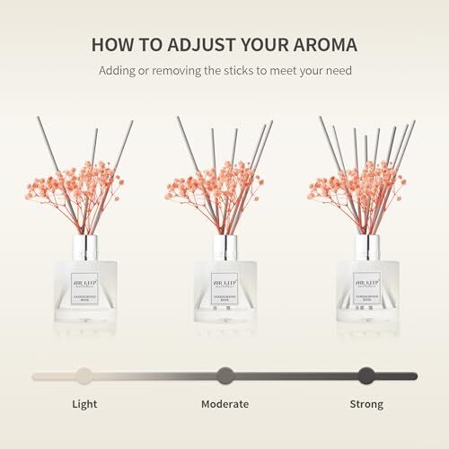 Reed Diffuser Set,3.38 fl oz (100 ml) - Lavender Eucalyptus Oil ...