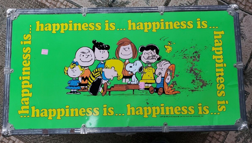 Vintage Snoopy Metal Foot Locker Trunk Peanuts Toy Chest Charlie Brown ...