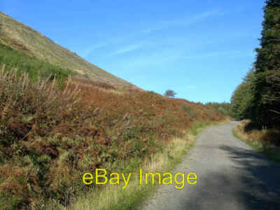 Photo 6x4 Stinchar Valley Slope Balloch Plantation/NX3695 The steep ...