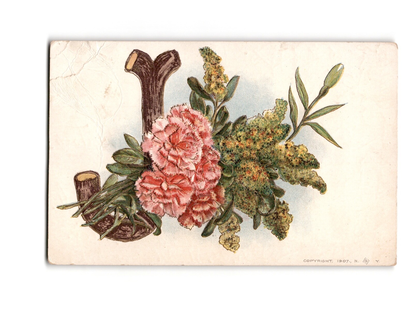 1907 Vintage Carnation Flower Postcard | eBay