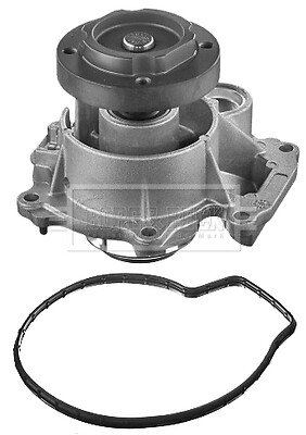 CAPSautomotive Water Pump 55582273 for Borg & Beck BWP2379 | eBay