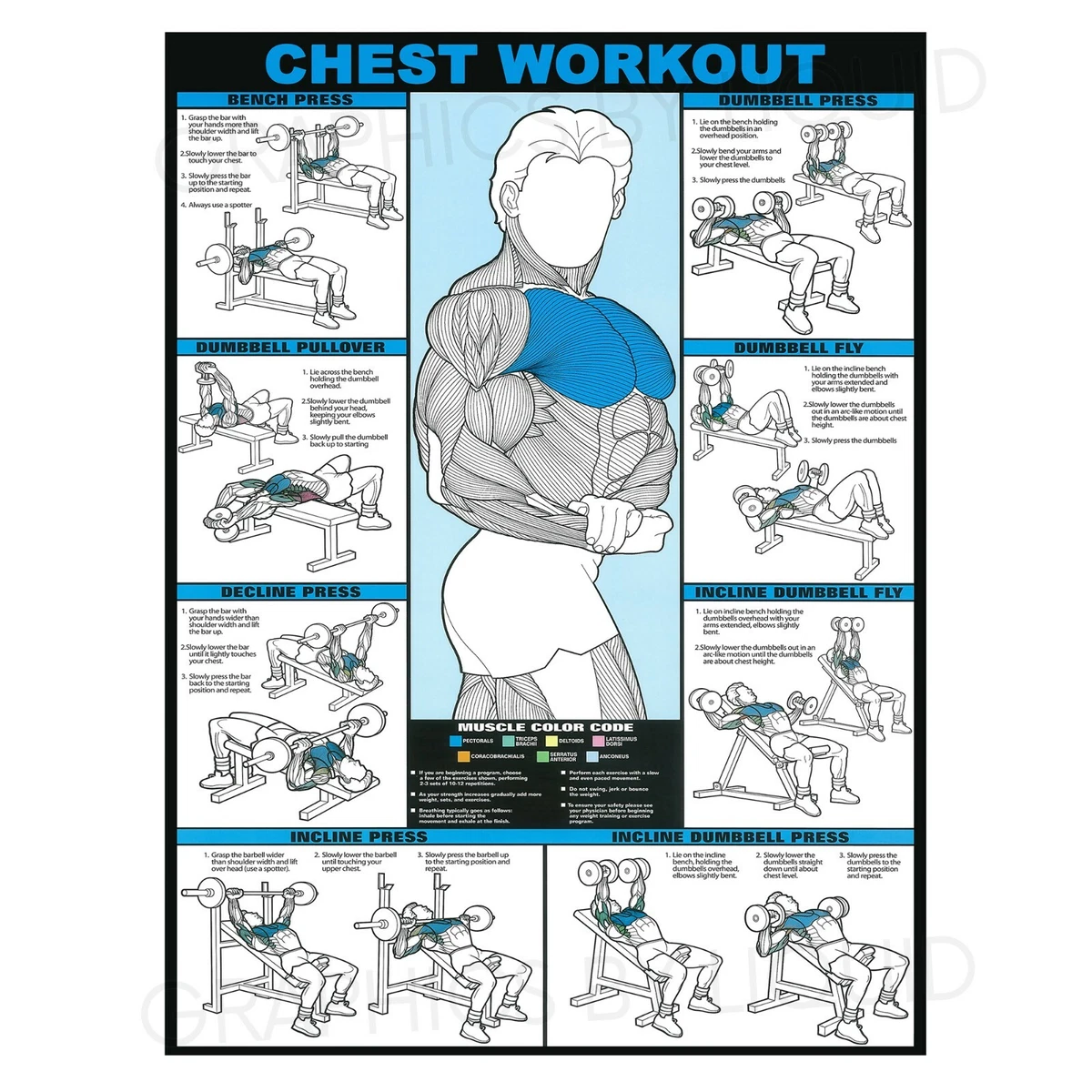 Chest Workout For Men Chart