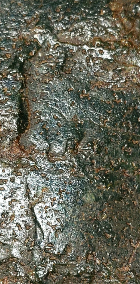 Green Petrified Wood Oregon