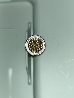 Retired BSA CUB SCOUT NATIONAL SUMMERTIME AWARD PIN- BEARS | eBay