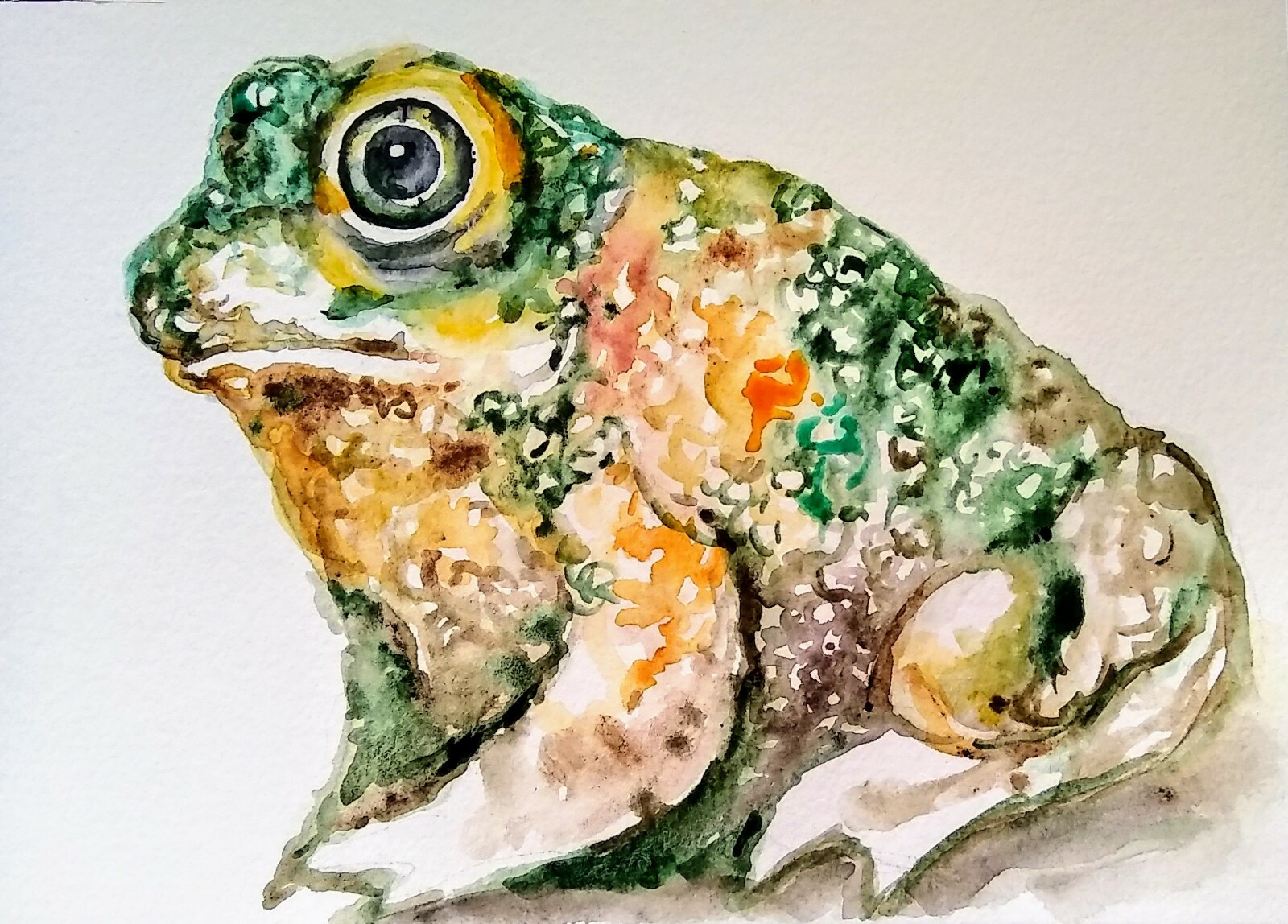 Frog toad Original watercolor painting,home interior nature lover best ...