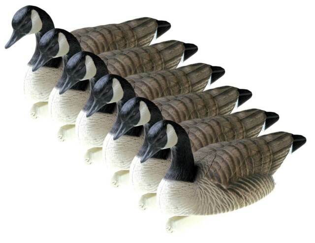 Final Approach 474161FA Floating Canada Goose Decoys (6 Pack) for sale ...