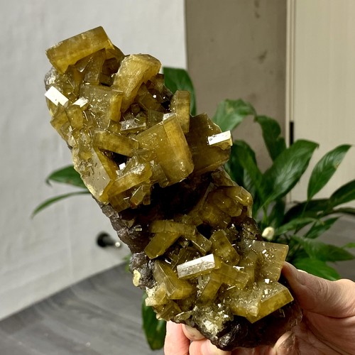 1.63LB Shiny Golden Cuboid Barite Crystal Based on the Purple Spherical ...