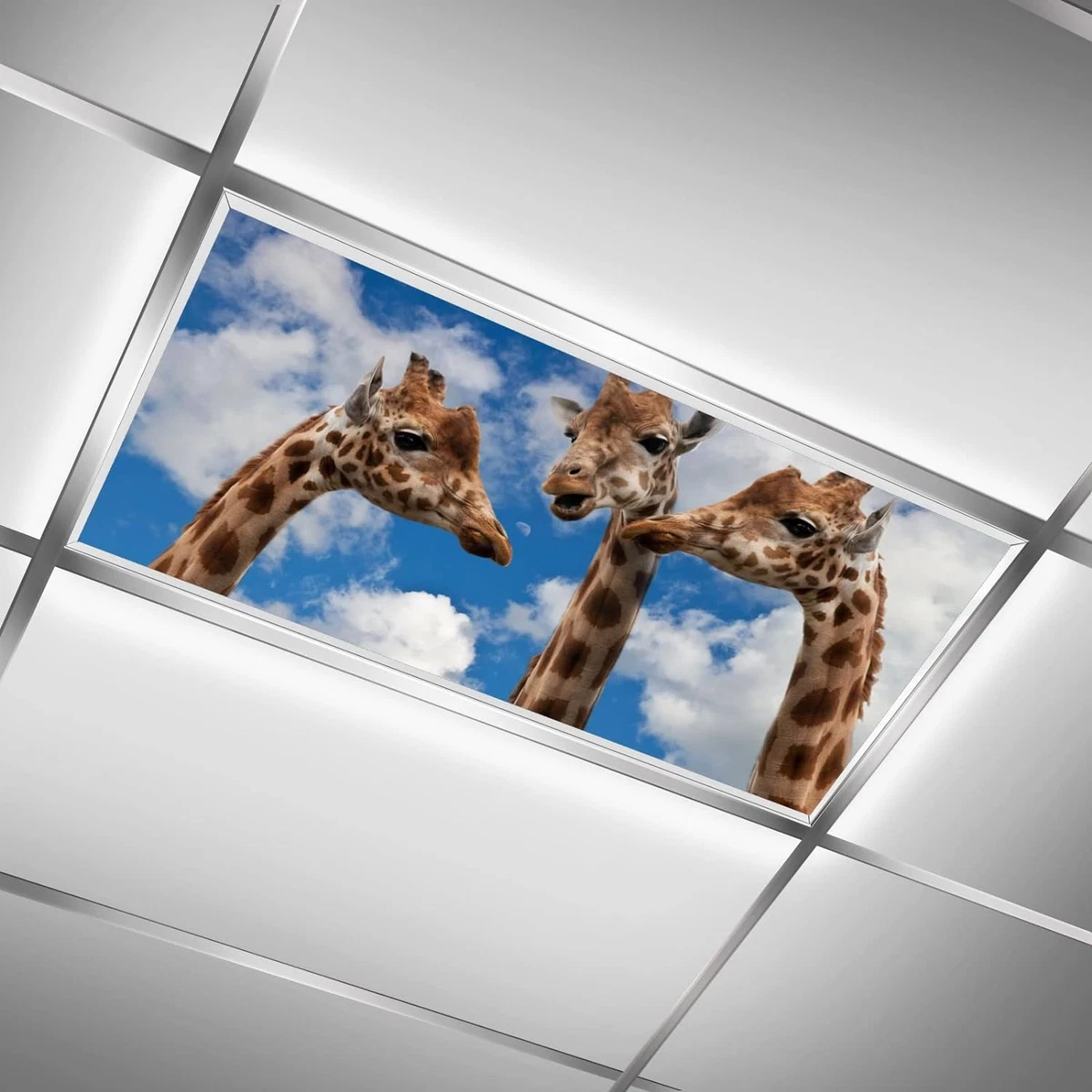 Fluorescent Light Diffuser Panels Decorative | Shelly Lighting