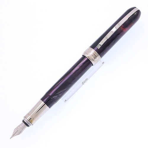 VISCONTI Fountain Pen Rembrandt Twilight Resin Nib F Stainless Steel | eBay