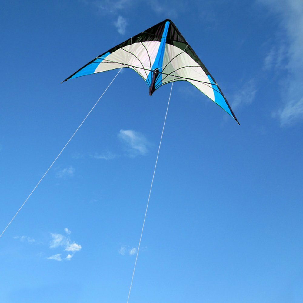 NWE Outdoor Fun Sports 1.2m Dual Line Stunt Kites/ Blue Kite with ...