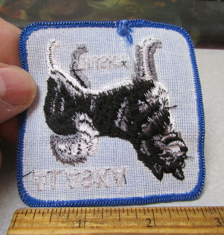 Alaska beautiful Husky sled dog, sew on style embroidered patch, 3 x 3 ...
