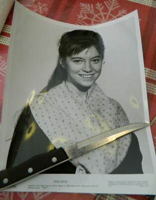 Vtg Press Photo Daniel Boone Jemima Boone Veronica Cartwright Movie ...