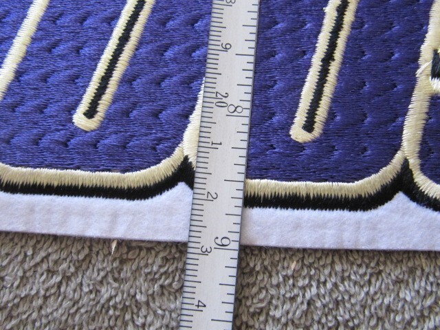 Minnesota Moose IHL Large Patch | eBay