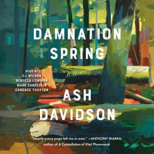 Damnation Spring by Ash Davidson (2021, Compact Disc, Unabridged ...