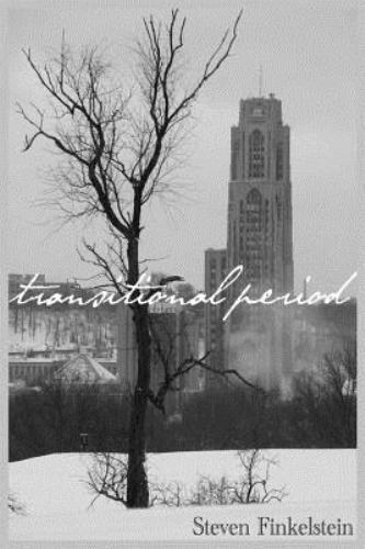 Transitional Period by Steven Finkelstein (2015, Trade Paperback) for ...