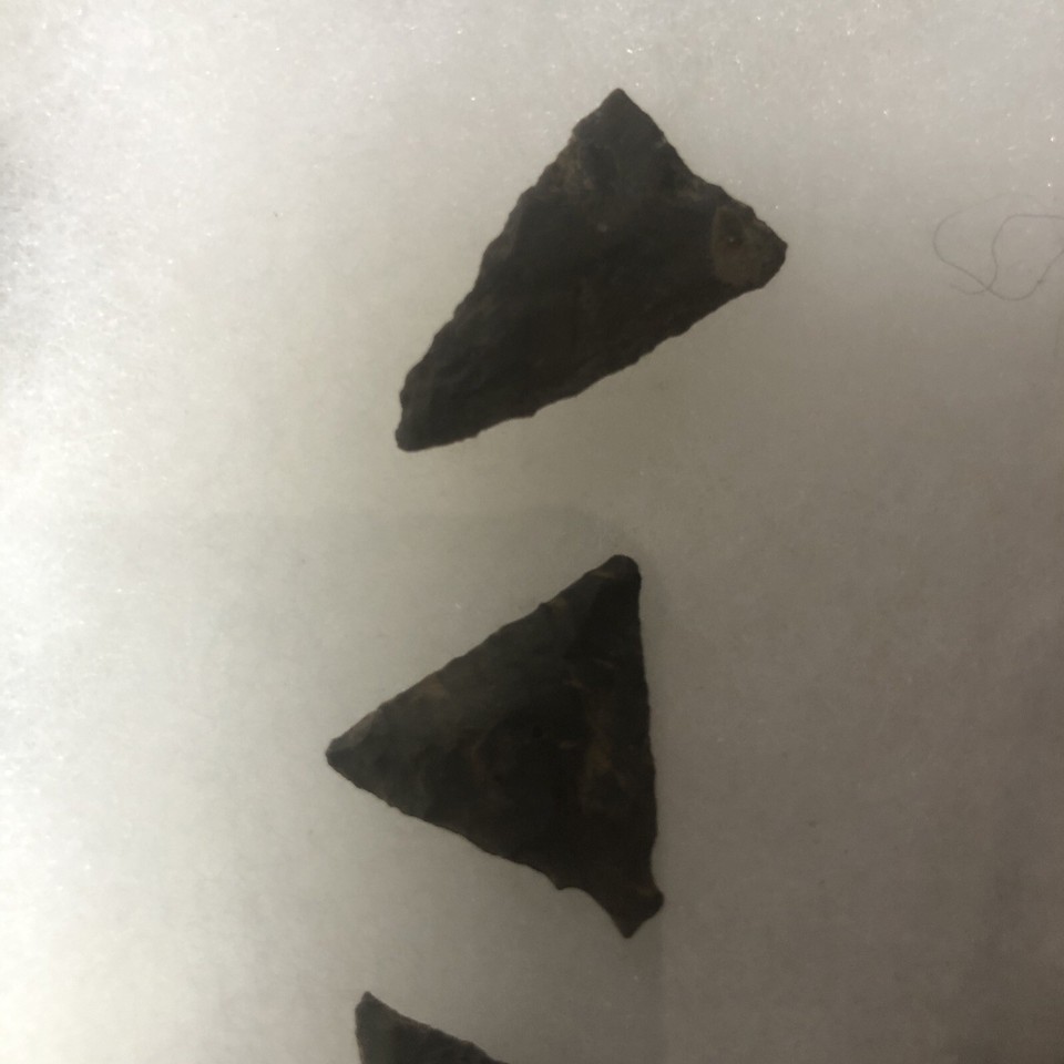Lot Of 28 Arrowheads/Triangle Points Native American Genuine Indian ...