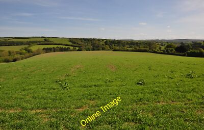 Photo 6x4 West Somerset : Grassy Field Withiel Florey A grassy field on ...