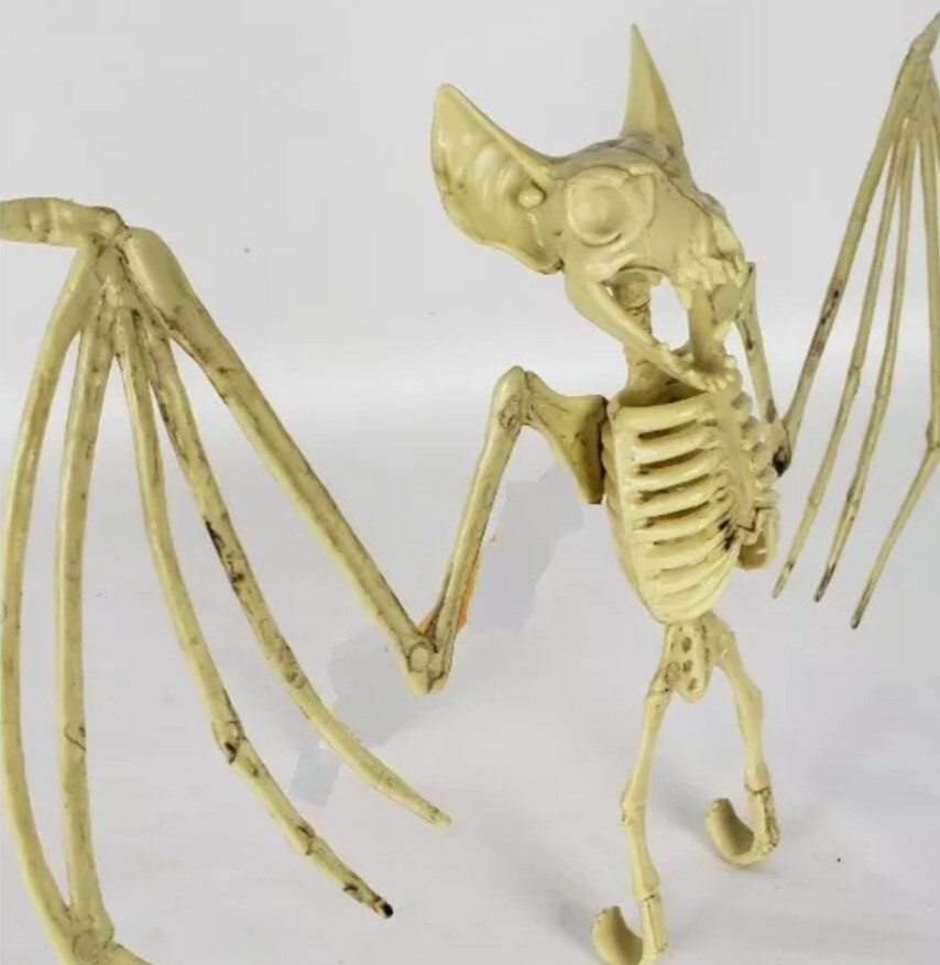 Lot of 4: Halloween Vampire Bat Skeleton NEW~NWT | eBay