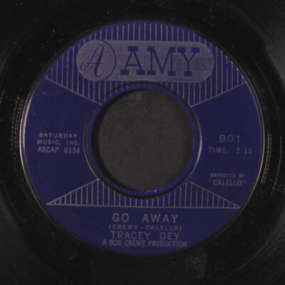 TRACEY DEY: gonna' get along without you now AMY 7" Single 45 RPM | eBay