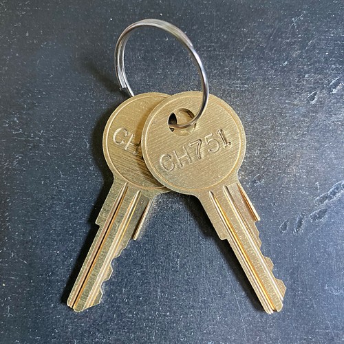 (2) Camper RV Storage Utility Panel Keys Cut Key code CH751 -SHIPPED W ...