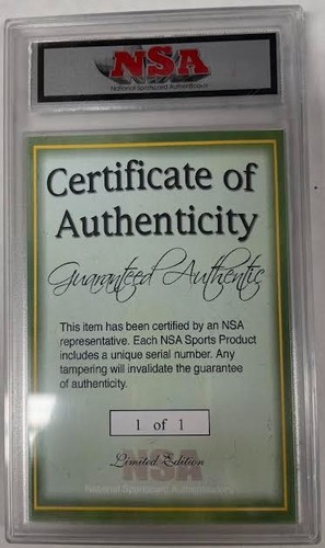 Lebron James Logoman Game Used Jersey 2010 National Sports ...