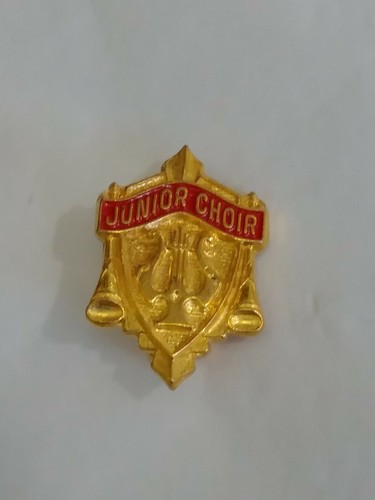 Junior Choir Lapel Hat Jacket Pin Small Gold Color Metal With Red ...