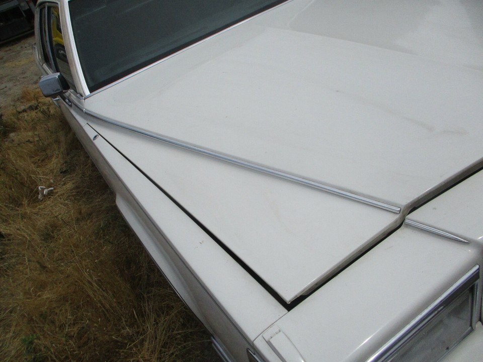 1990-1992 Cadillac Brougham 4DR Hood Panel Front | Genuine OEM | White
