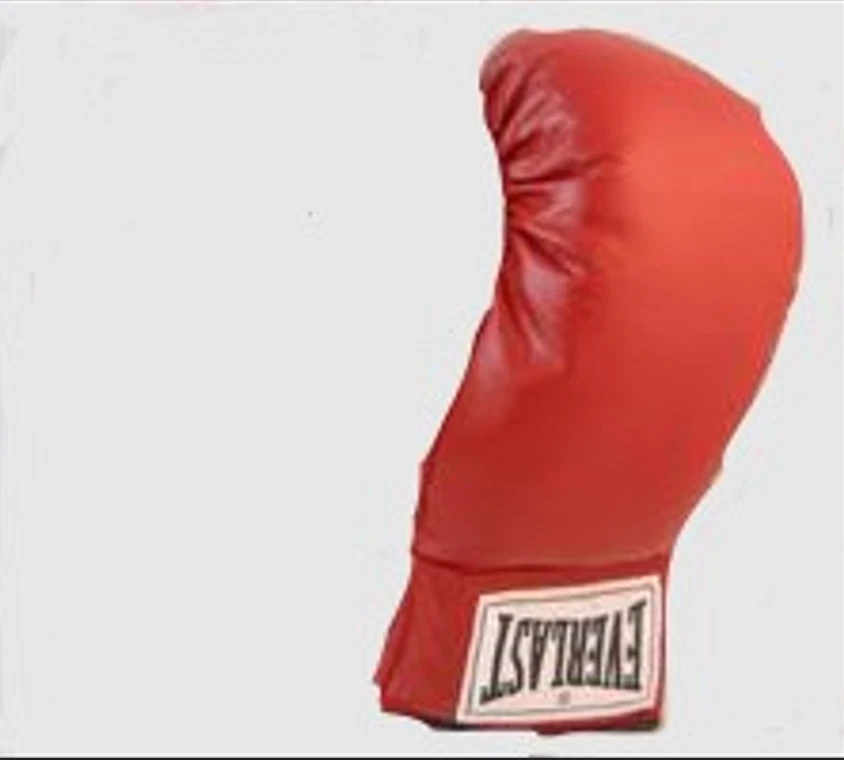 Everlast Logo Red