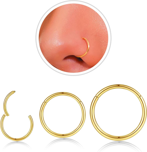 Nose Rings Hoops - Men Women 316L Surgical Steel Hinged Nose Rings Hoop ...