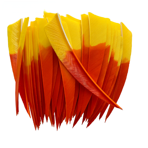 50-teile/los--geschnitten-Pfeil-Befiederung-Feder-Bogens-chießen--Jagd ...