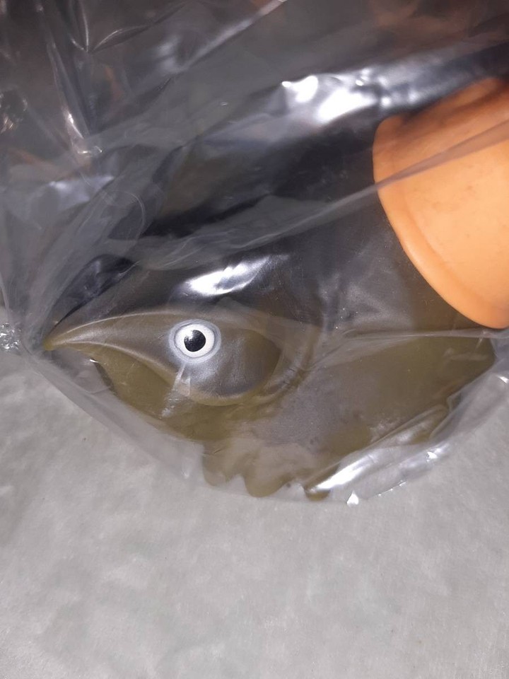 Ama Pro Dining Table Monster Frozen Soft Rodon Ice Body Meltrodon Set Vinyl Matc | eBay