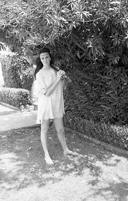 1960s Doris Nieh negative, sexy brunette pin-up girl Megan Timothy ...
