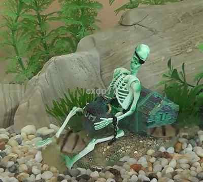 Air Driven SKELETON W/ RUM Aquarium Ornament Fish Tank Decoration | eBay