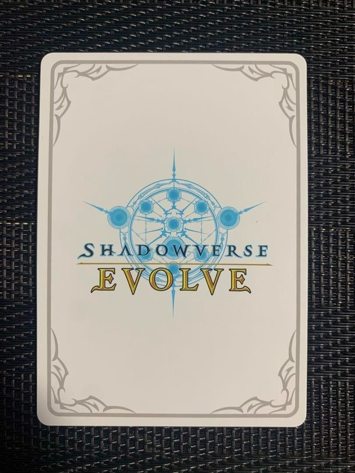 Shadowverse EVOLVE BP01-LD09 Luna Leader Card | eBay
