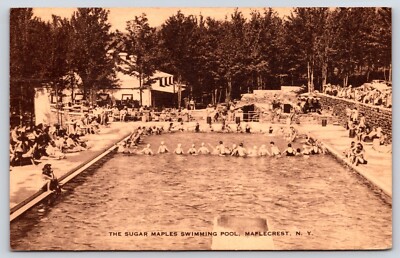 New York Maplecrest Sugar Maples Swimming Pool Vintage Postcard POSTED ...