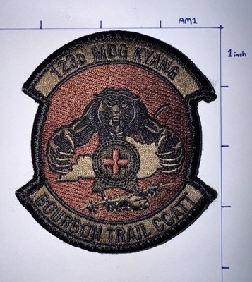 USAF 123d Medical Group CCATT Patch | eBay