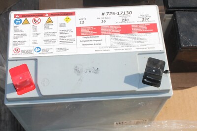 CUB CADET 725P17130 Battery 230 Cca Agm U1 280 Pro 600 KW FAB XT2-LX42 ...