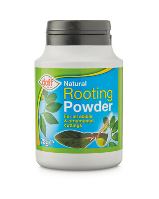 DOFF ROOTING POWDER 75g Natural Helps Encourage New Root Growth in ...