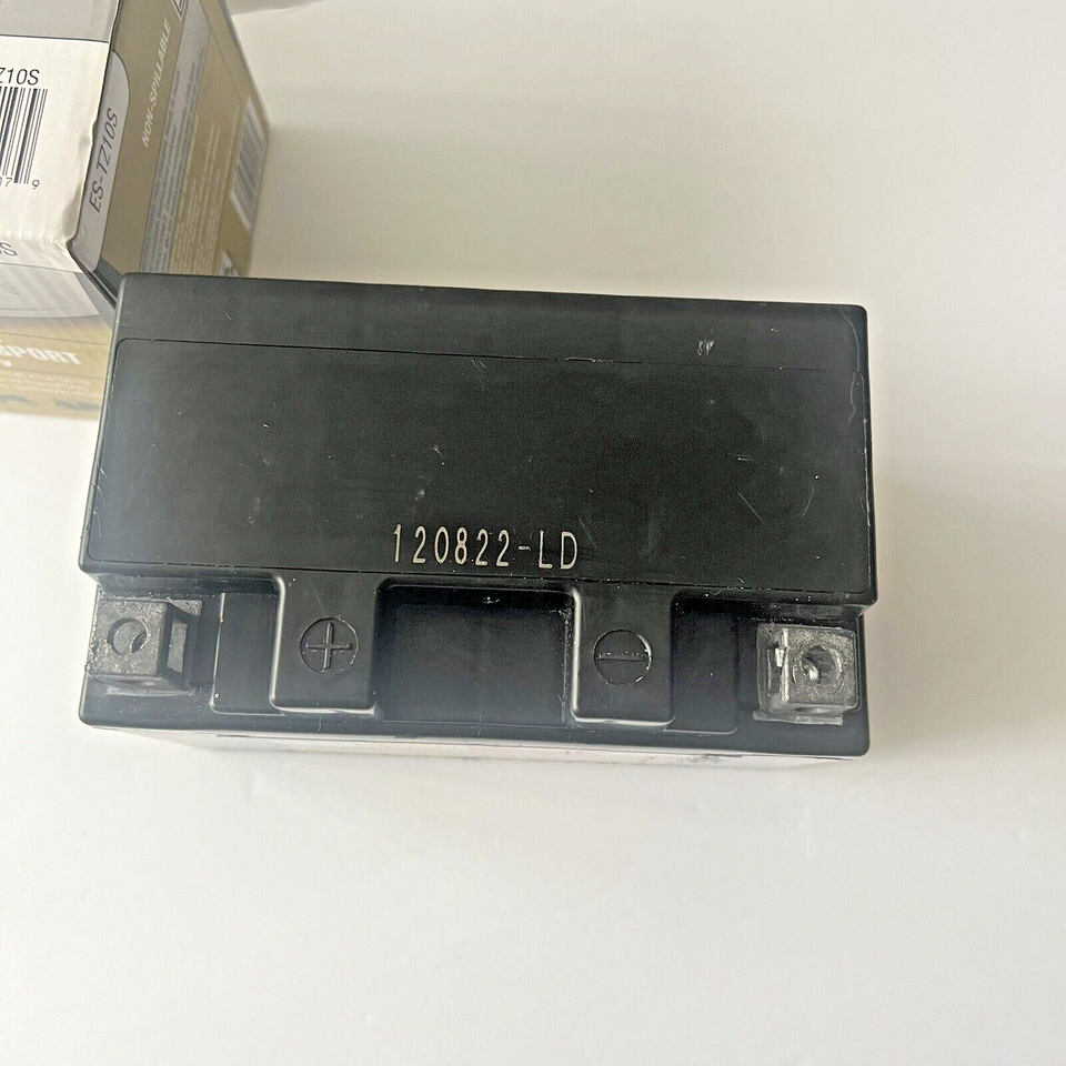 EVERSTART ES-TZ10S AGM Power Sports Battery | eBay