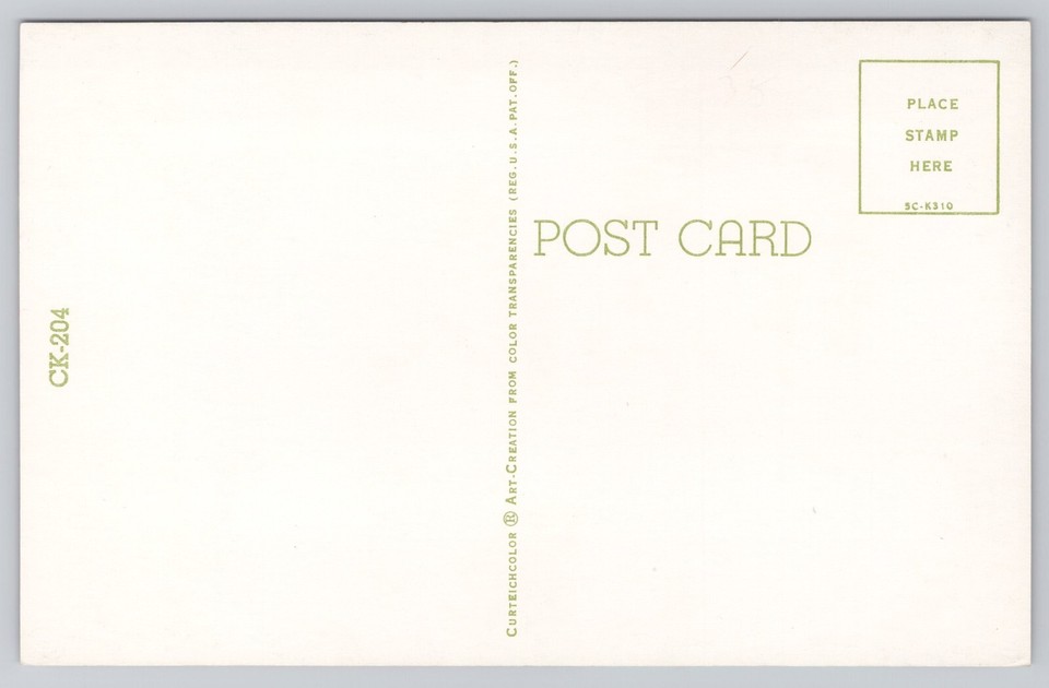 Native American Indian Chiefs Feathers Peace Pipes, Vintage Postcard | eBay