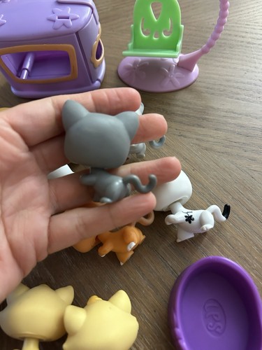 Littlest Pet Shop LPS Kitten Shorthair Cats #11 27 32 74 98 456 539 547 ...