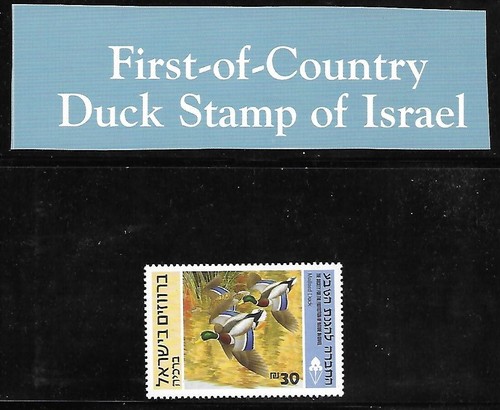 ISRAEL FIRST OF COUNTRY DUCK 1997 YEAR MNH | eBay