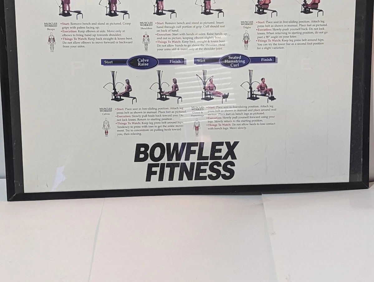 Bowflex Xtl Workout Poster | EOUA Blog